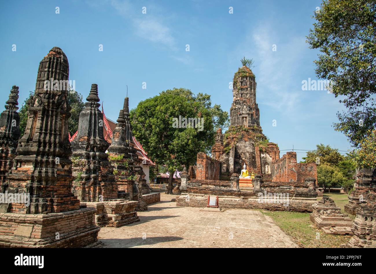 THAILAND AYUTTHAYA WAT CHOENG THA Stock Photo - Alamy