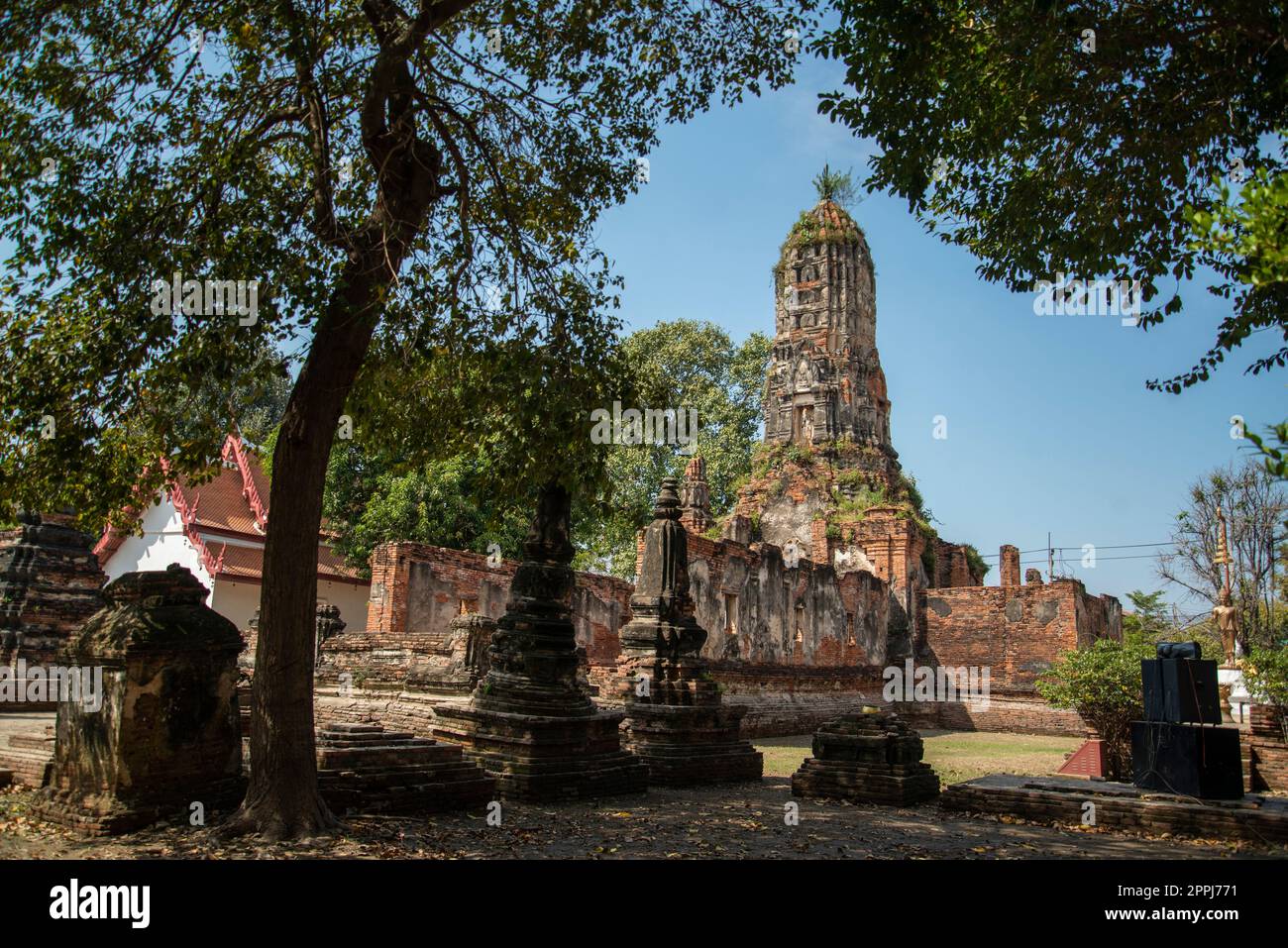 THAILAND AYUTTHAYA WAT CHOENG THA Stock Photo - Alamy