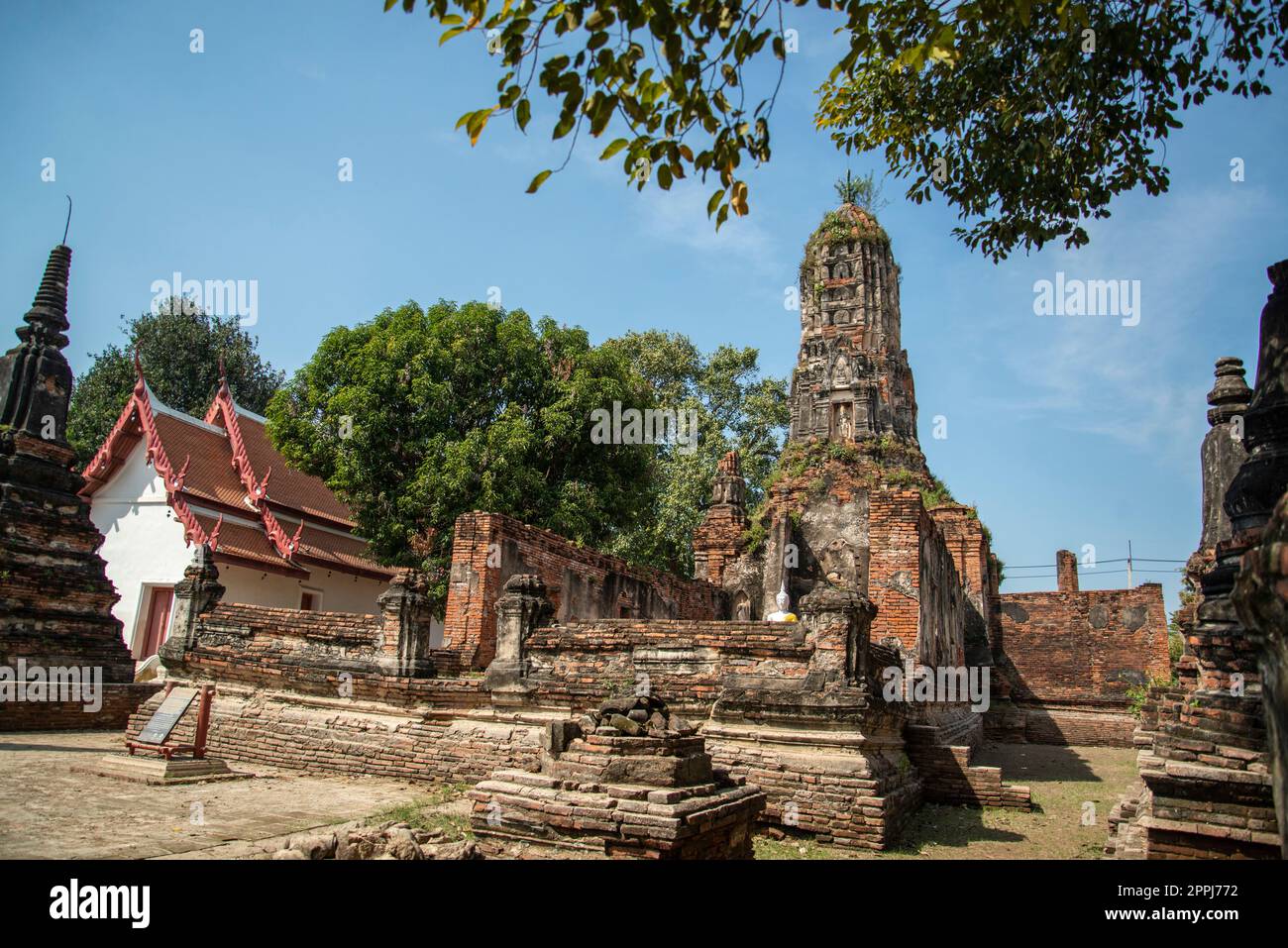 THAILAND AYUTTHAYA WAT CHOENG THA Stock Photo - Alamy