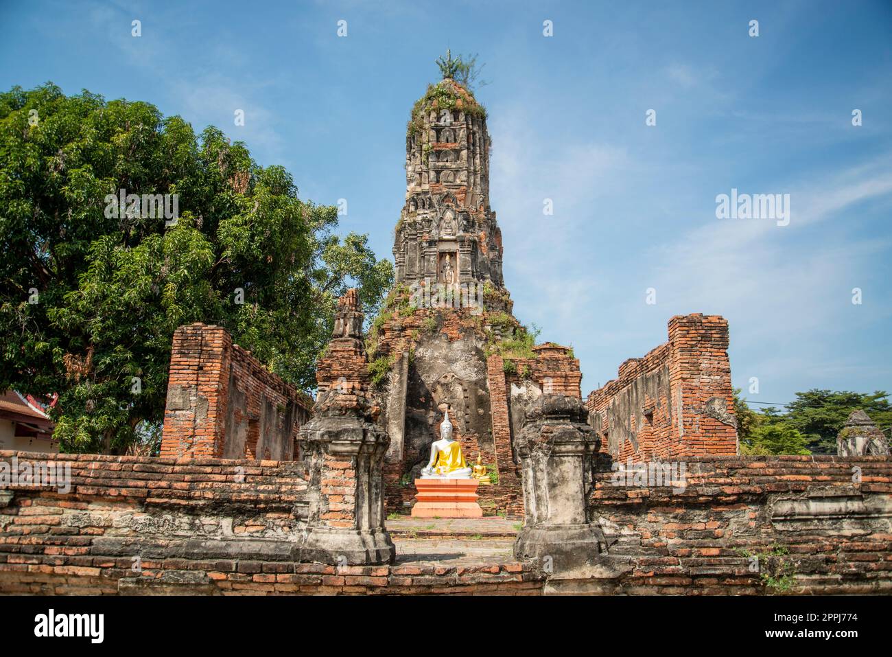 THAILAND AYUTTHAYA WAT CHOENG THA Stock Photo - Alamy
