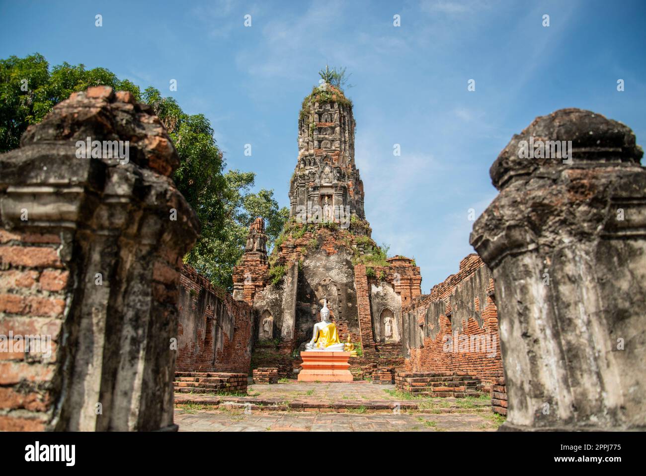 THAILAND AYUTTHAYA WAT CHOENG THA Stock Photo - Alamy