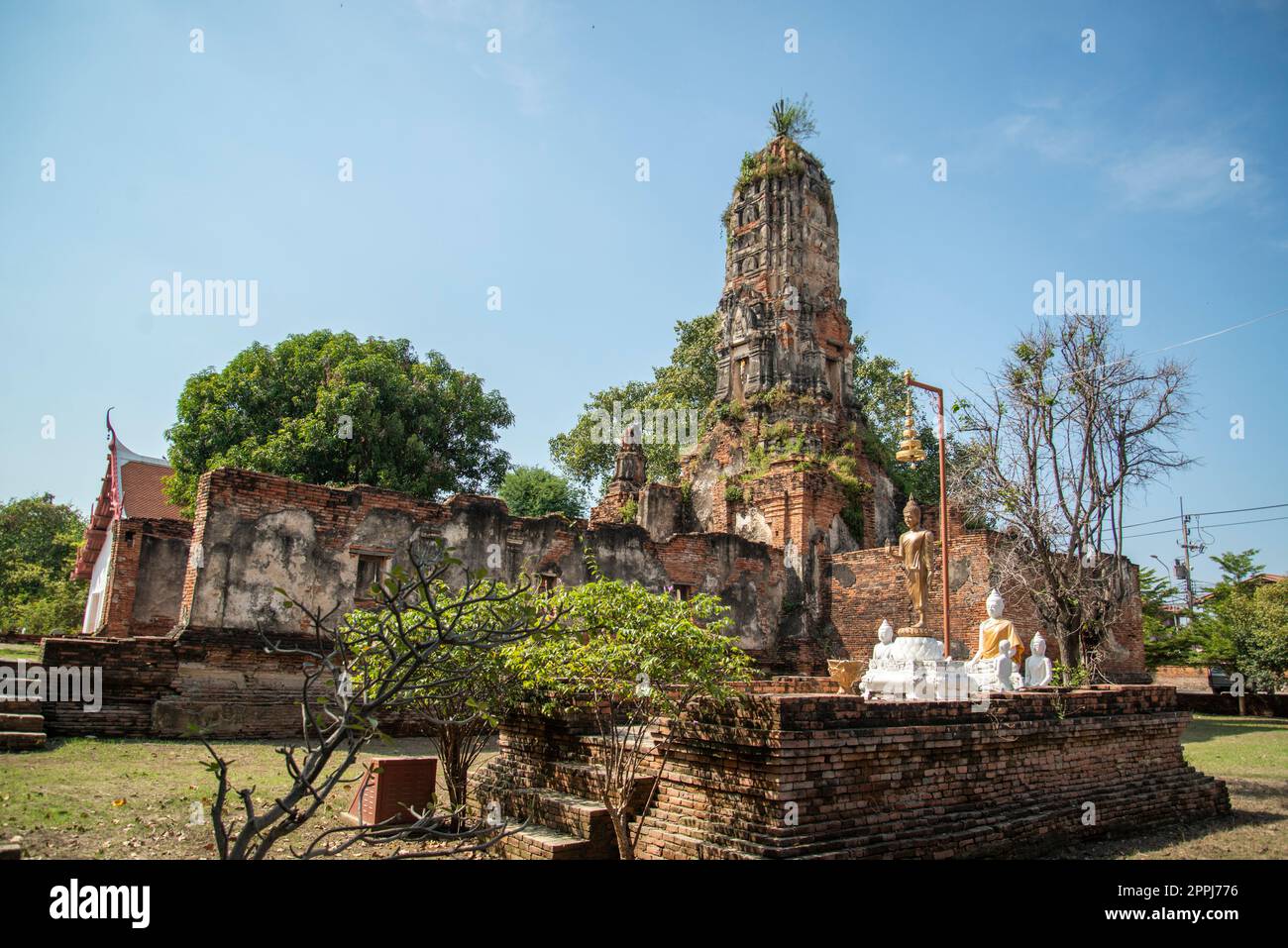 THAILAND AYUTTHAYA WAT CHOENG THA Stock Photo - Alamy