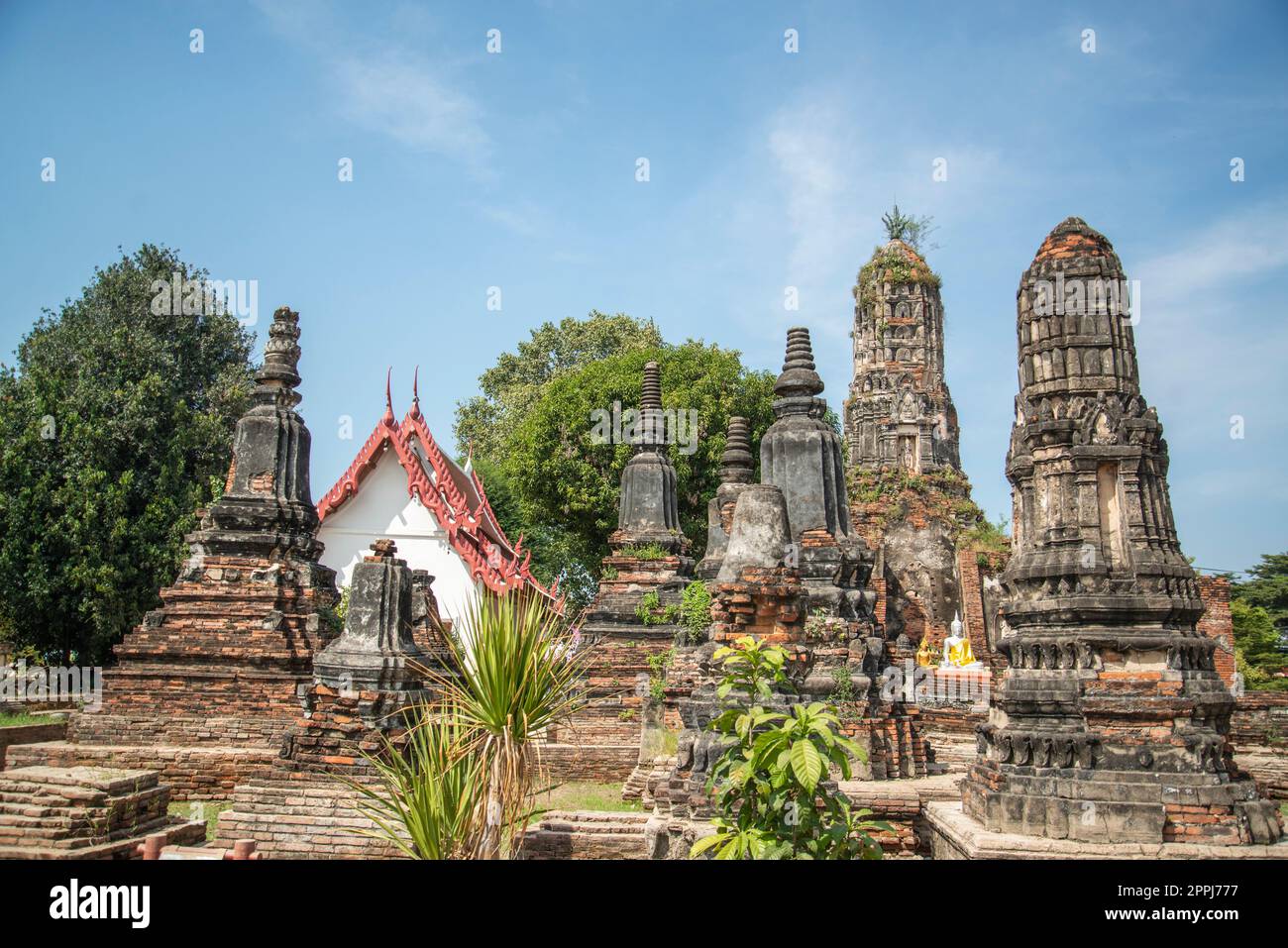 THAILAND AYUTTHAYA WAT CHOENG THA Stock Photo - Alamy