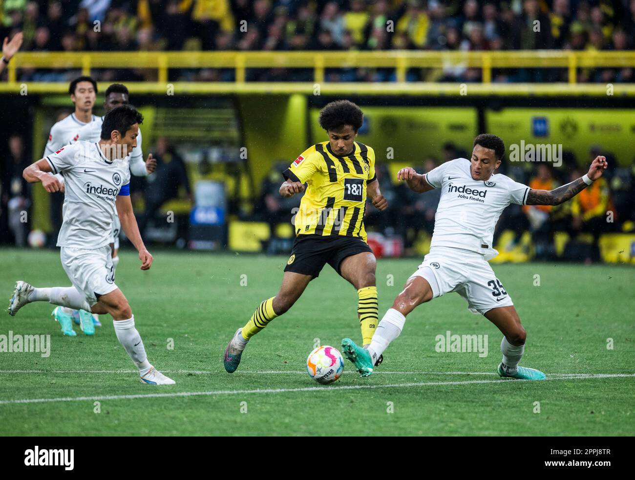 Dortmund, SignaI Iduna Park, 22.04.23: Karim David Adeyemi (Dortmund ...