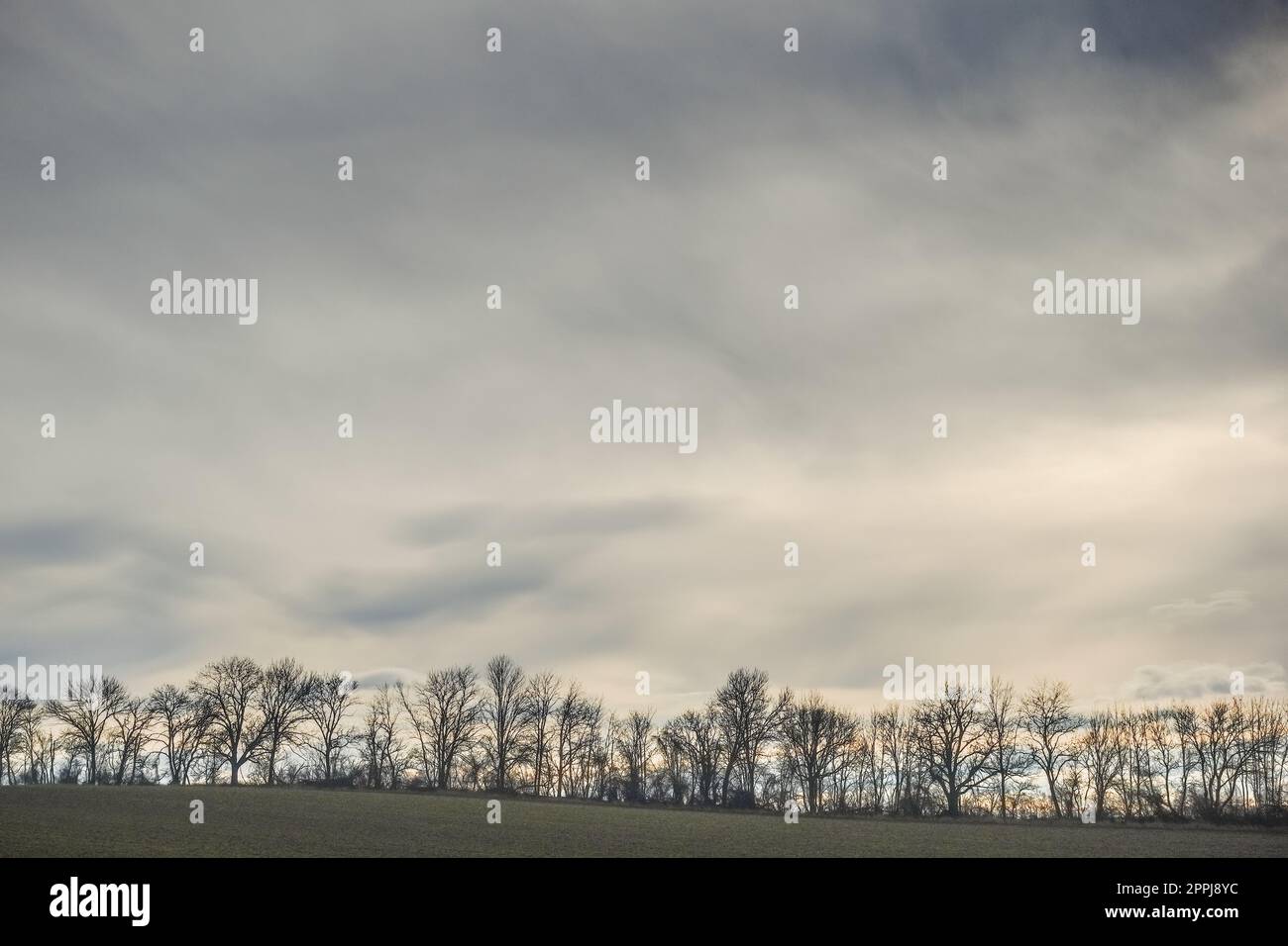 black field and trees with a dense gray sky Stock Photo - Alamy