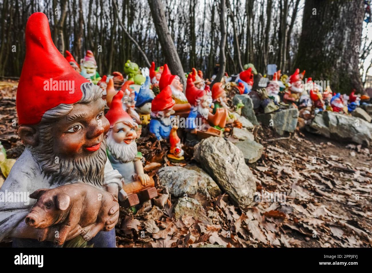 colorful garden gnomes at a place in the forest during hiking Stock ...