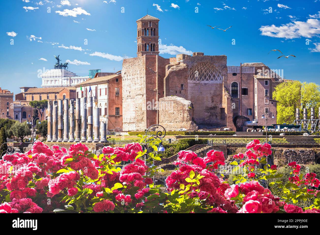 Historic Roman Forum in Rome scenic springtime view Stock Photo - Alamy