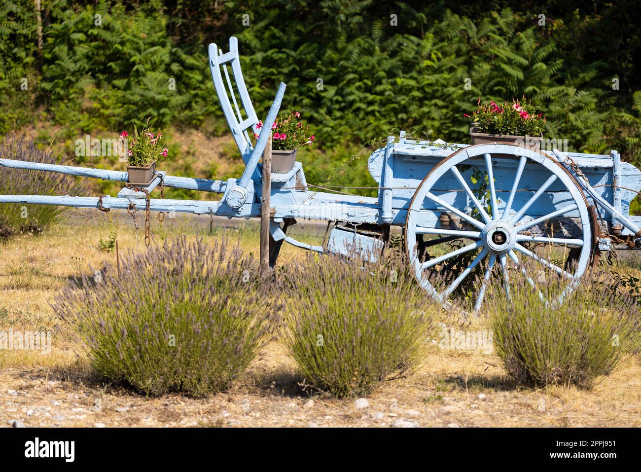 Blue cart hi-res stock photography and images - Alamy