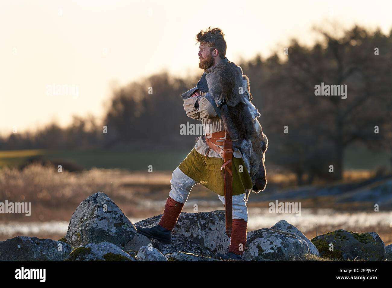 Viking standing on rock Stock Photo - Alamy