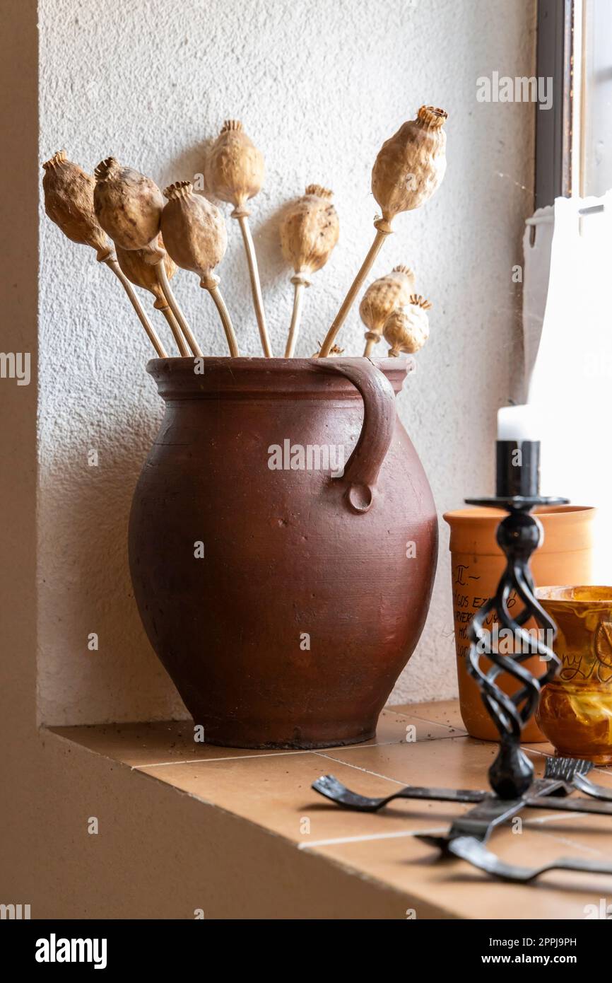 still life with dry poppies by the window, Mor, Hungary Stock Photo - Alamy