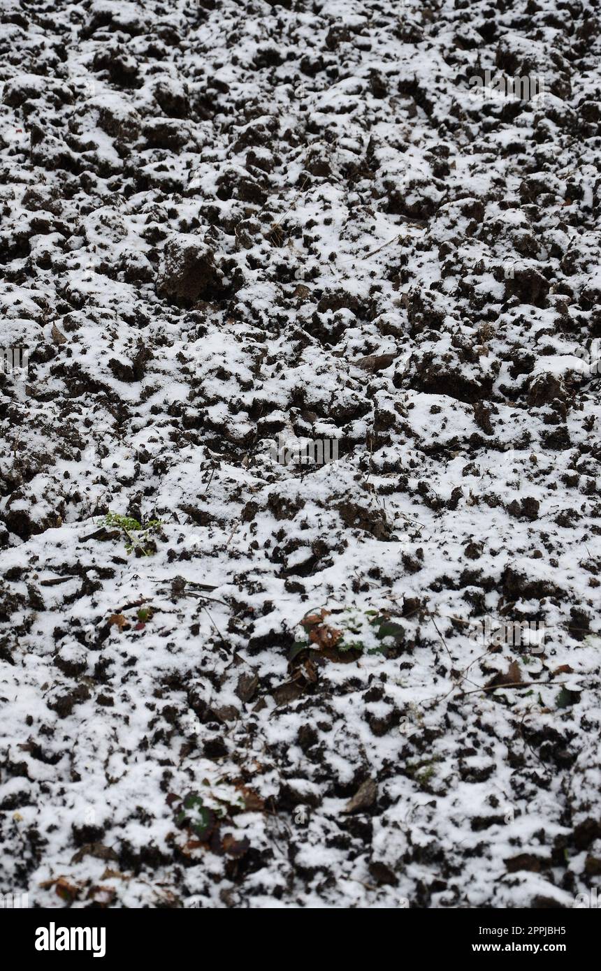 The texture of the ground, covered with a thin layer of snow. The soil ...