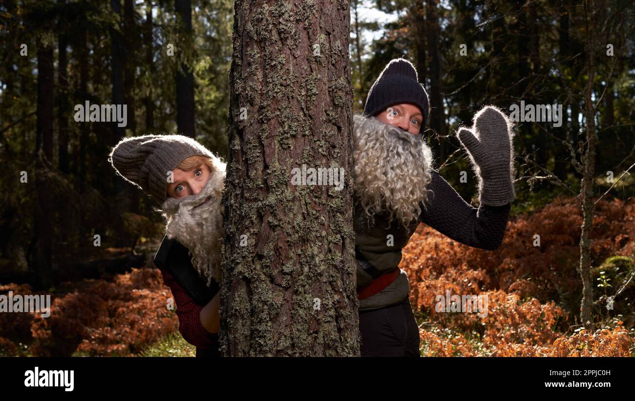 Two swedish gnomes peeking out from behind a tree and waving hello ...