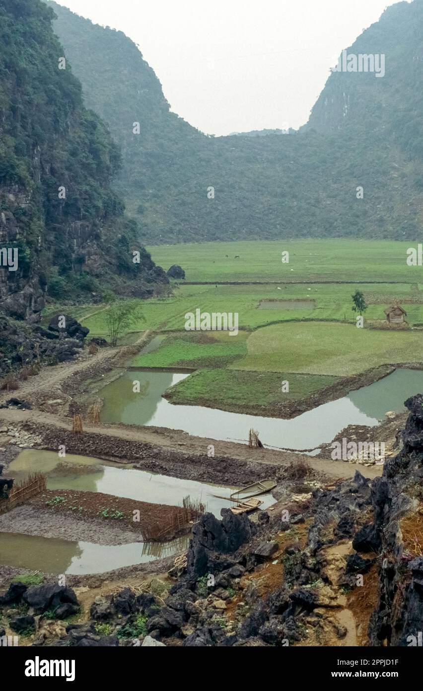 Scanned slide of historical color photograph of rice fields in Vietnam ...