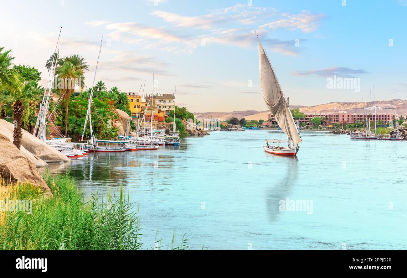 Traditional felucca in the Nile river, Aswan, Egypt, beautiful summer ...