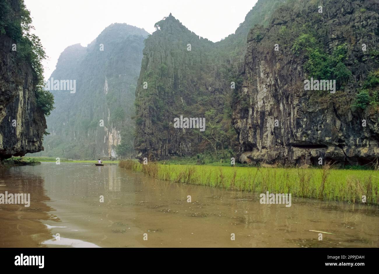 Scanned slide of a historical color photograph of flooded rice fields ...