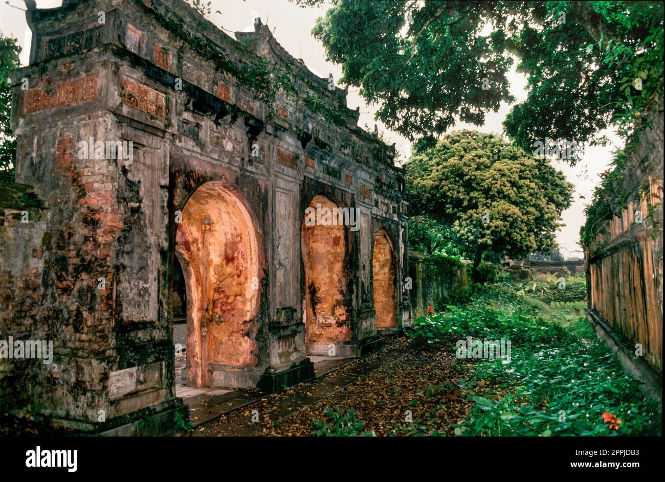 Scanned slide of a historical color photograph of a subject within the ...