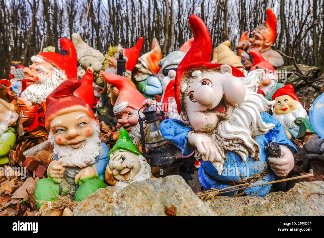 lot of colorful different garden gnomes at a place in the forest Stock ...