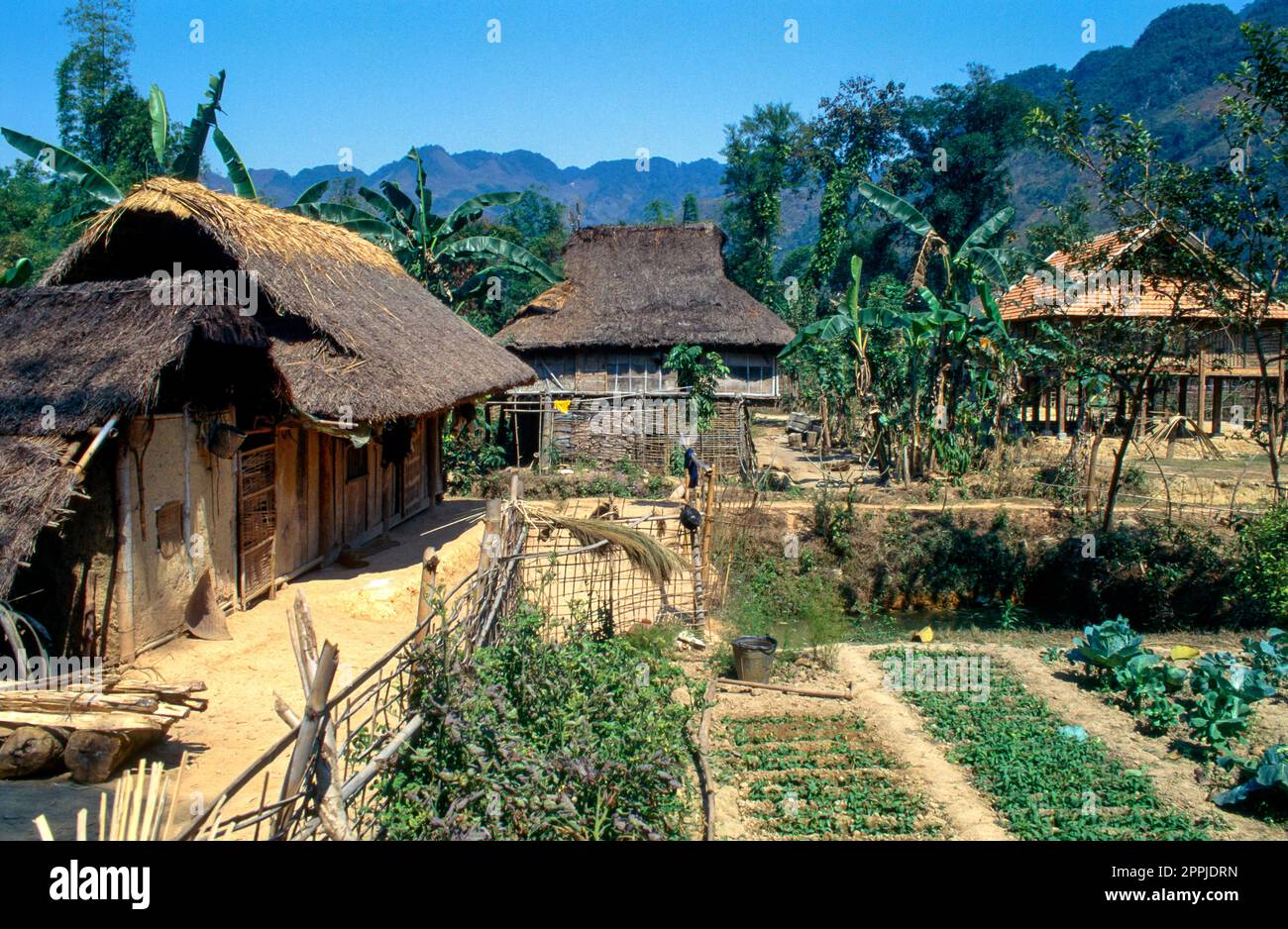 Scanned slide of a historical color photograph of pile dwellings in a ...