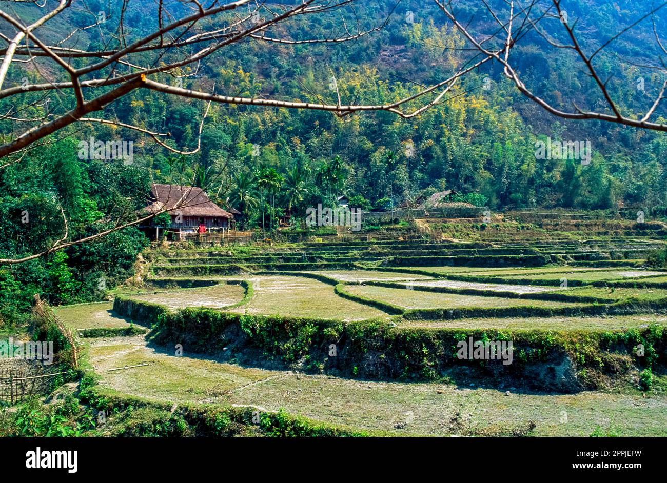 Scanned slide of a historical color photograph of a landscape with ...