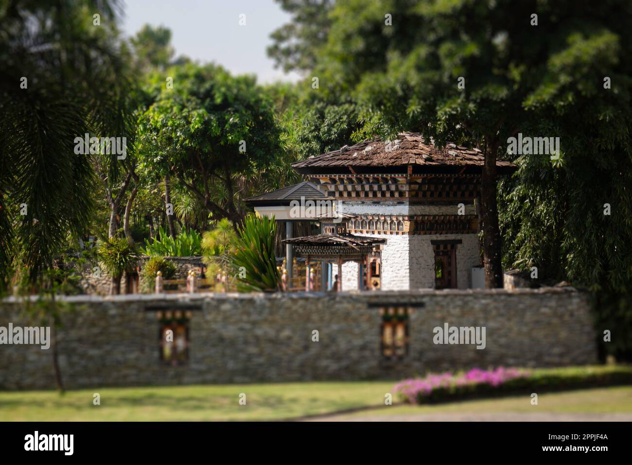 Botanical garden green branches of plant pot Stock Photo - Alamy