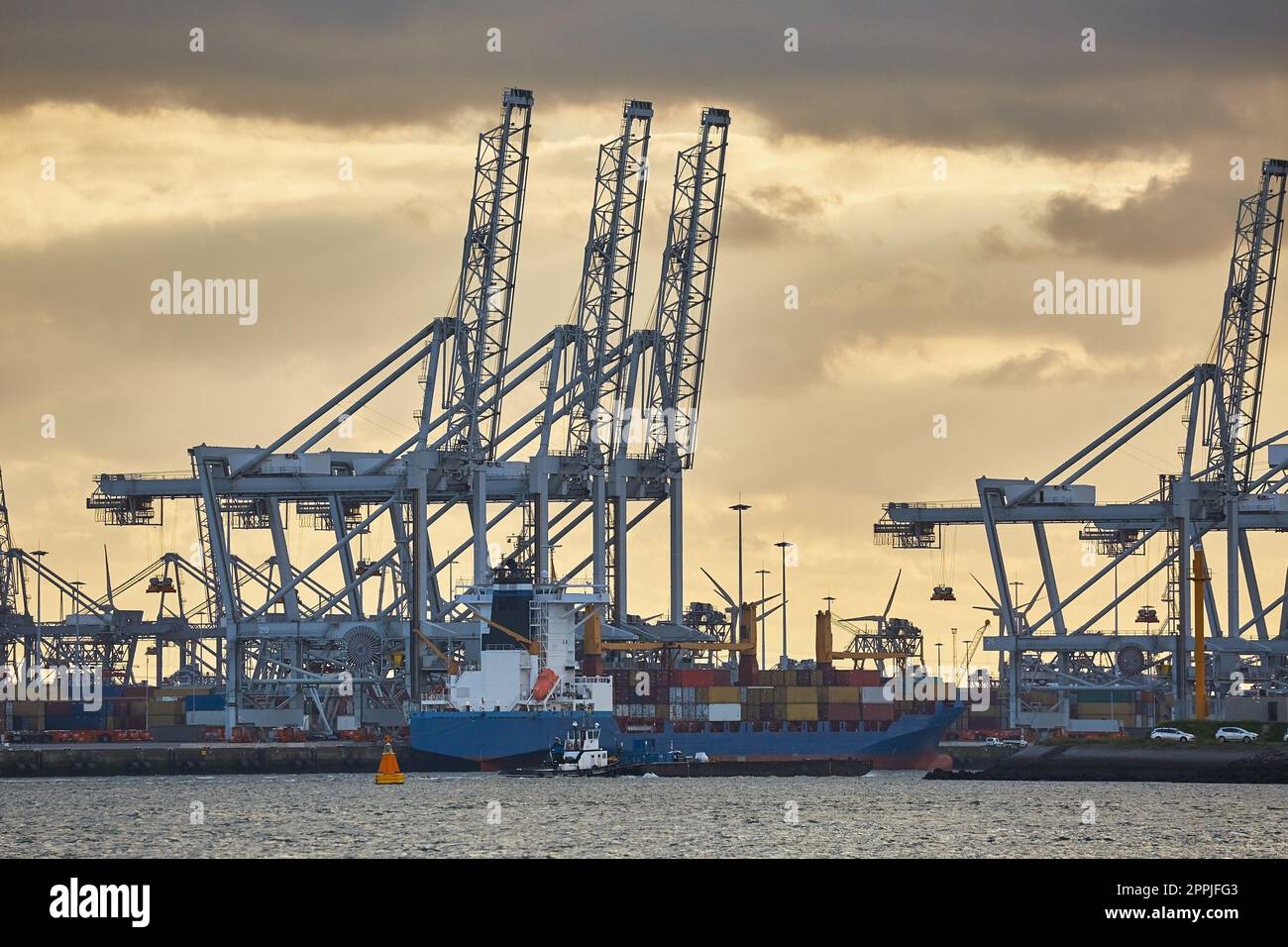 Container Dock in Rotterdam Stock Photo - Alamy