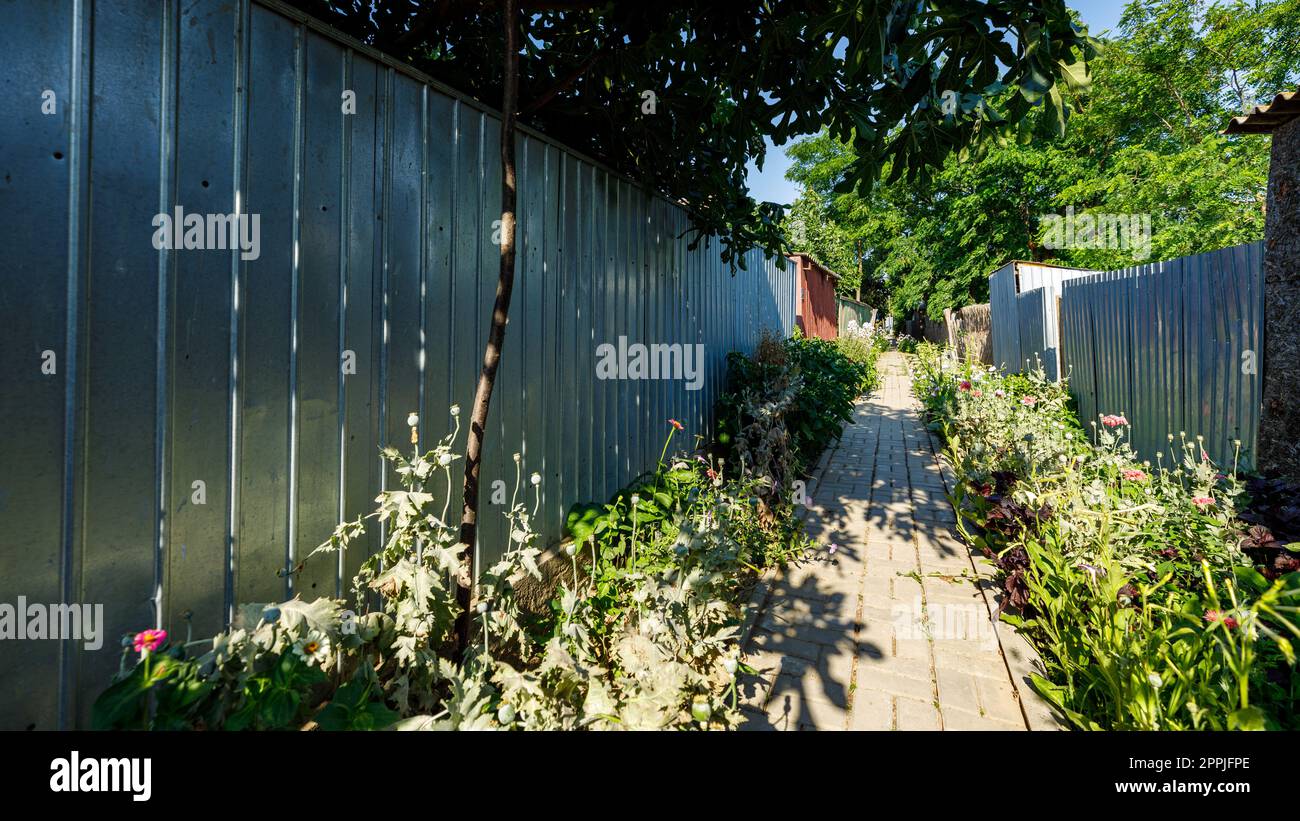 The village of Mila 23 in the Danube Delta Romania Stock Photo - Alamy