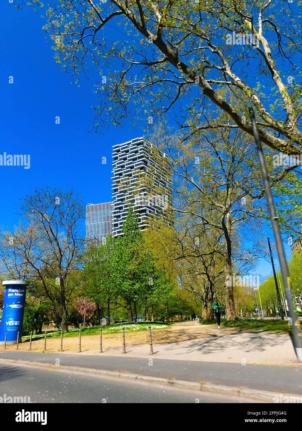 Street view to the Frankfurt downtown Stock Photo - Alamy