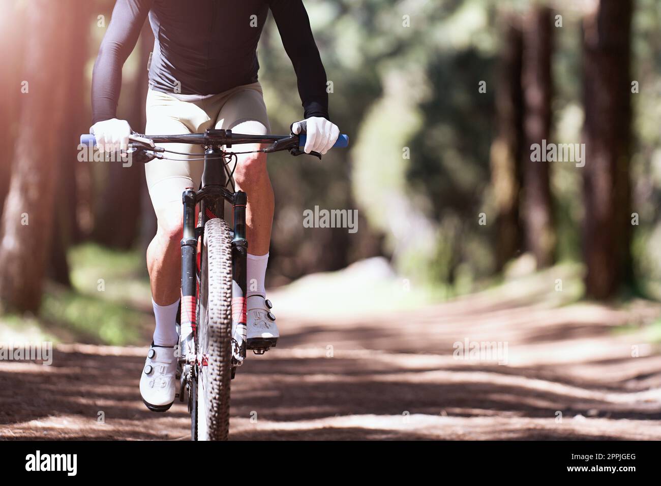 Mountain biking man riding on bike in summer mountains forest landscape ...