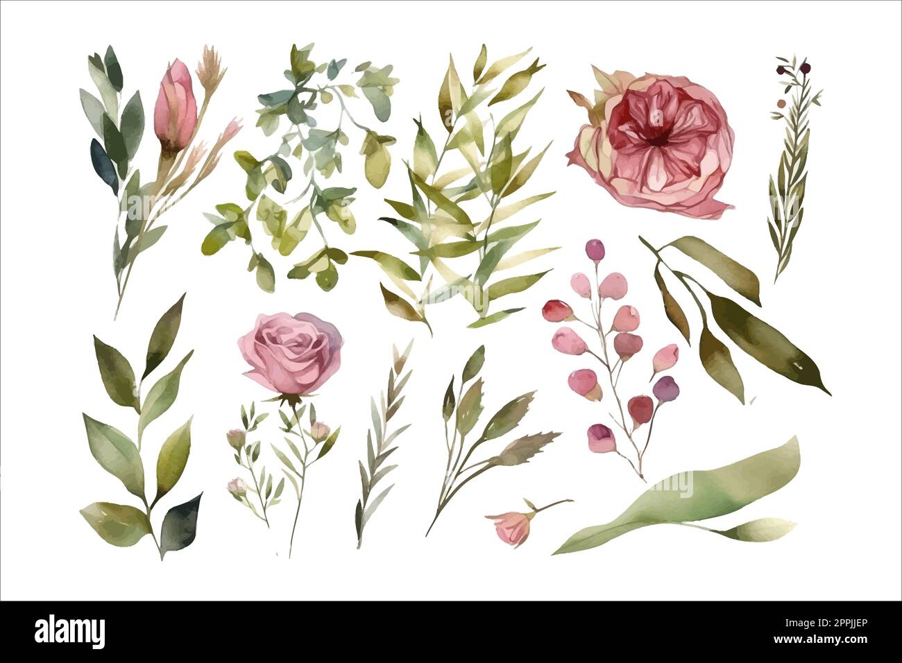 Maroon and green leaves Stock Vector Images - Alamy