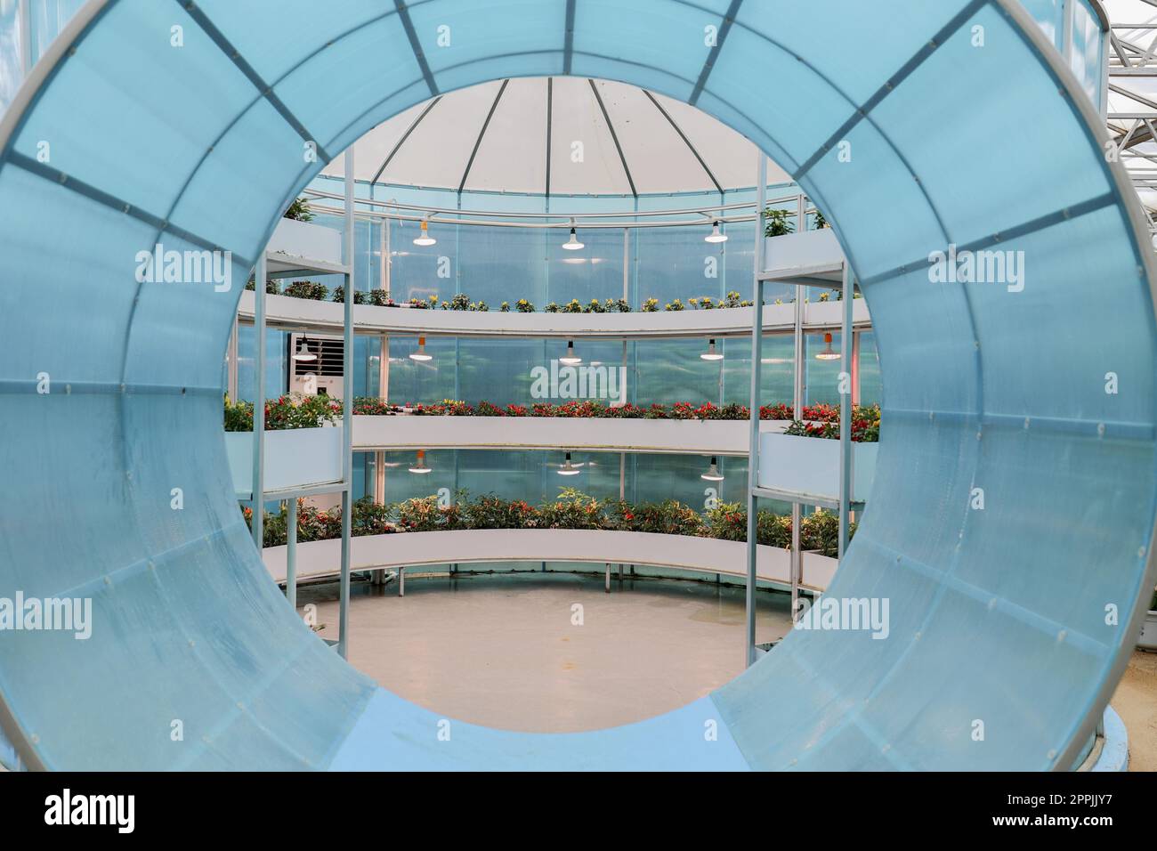 The ongoing 24th China (Shouguang) International Vegetable Sci-tech ...