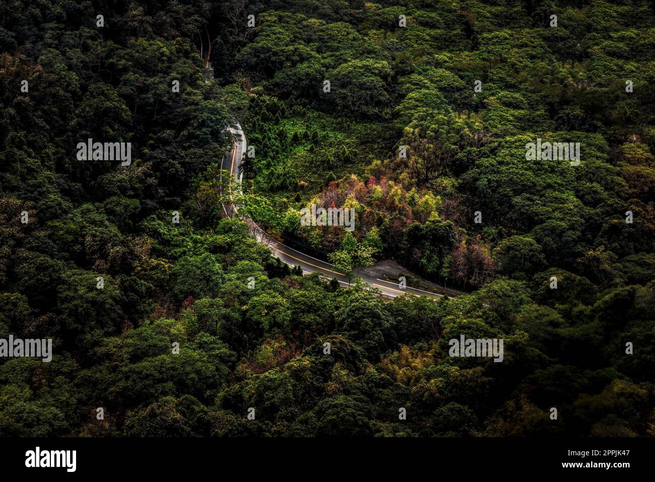 An aerial view of a winding road surrounded by lush green trees and ...