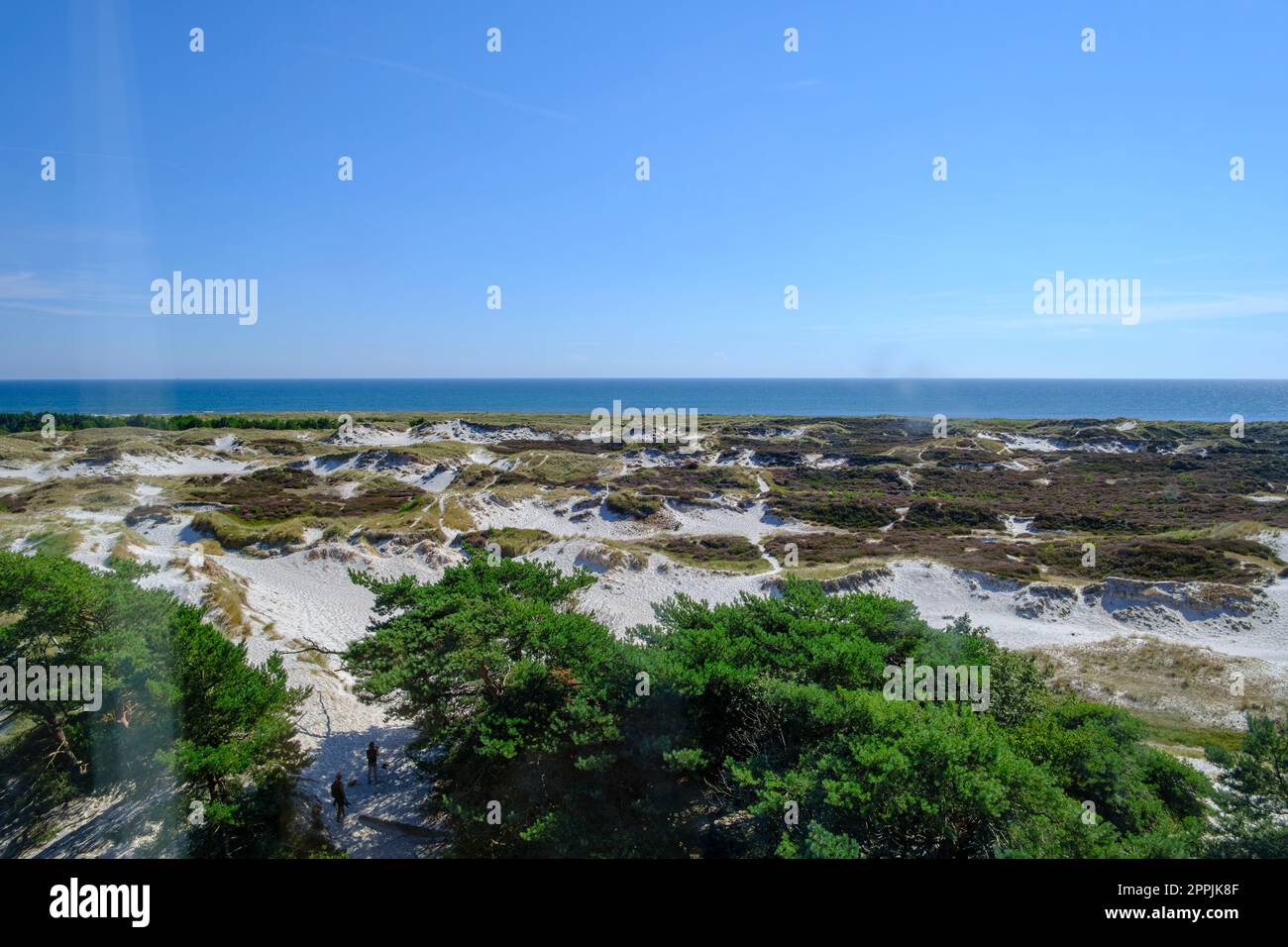 Dunescape of Dueodde Strand, the sandy beach on the southeastern tip of ...