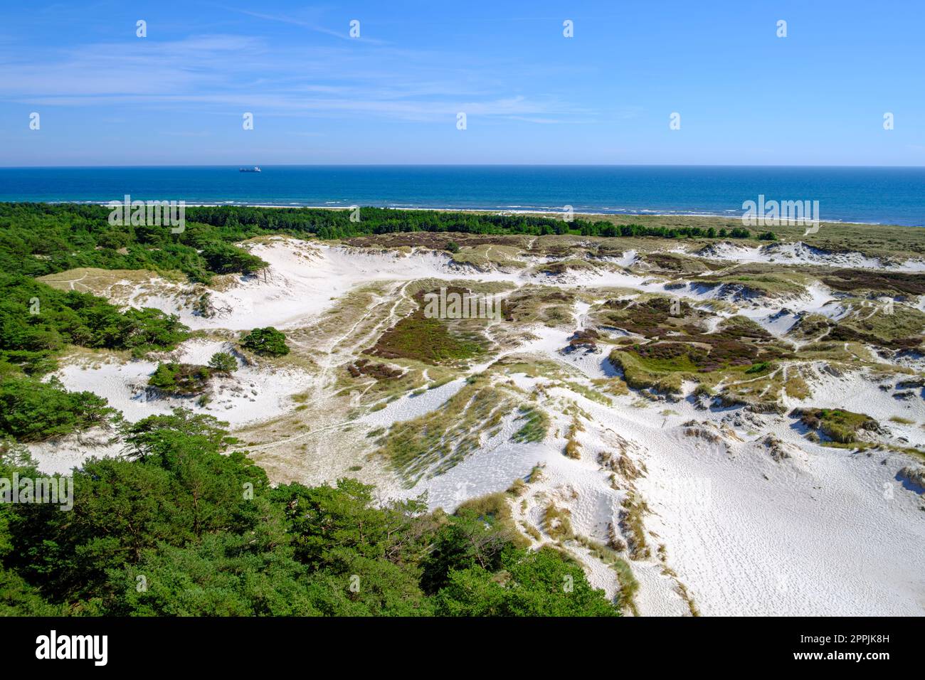 Dunescape of Dueodde Strand, the sandy beach on the southeastern tip of ...