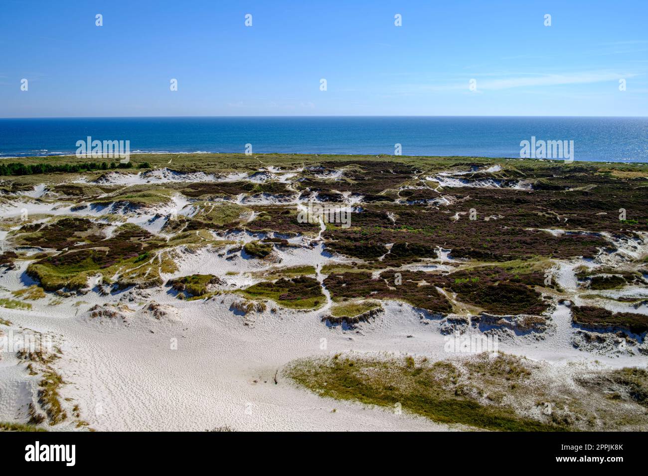 Dunescape of Dueodde Strand, the sandy beach on the southeastern tip of ...