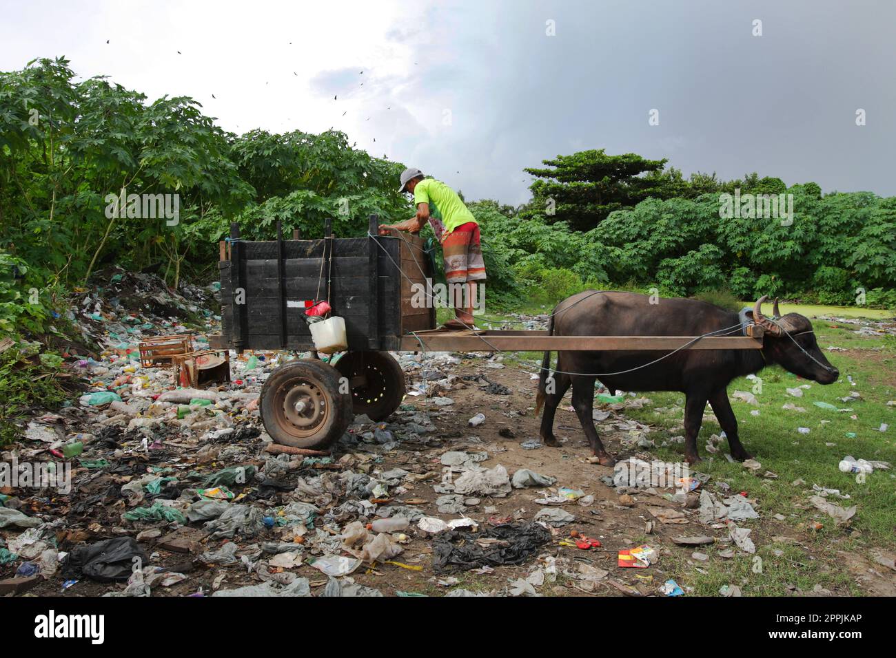 Buffalo river works hi-res stock photography and images - Alamy