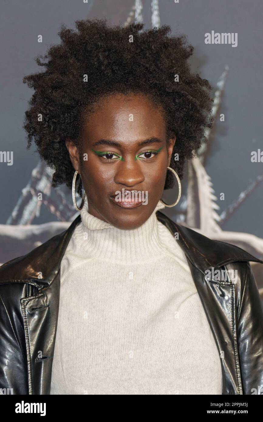 Ivy Quainoo attends the "Black Panther: Wakanda Forever" Screening at ...