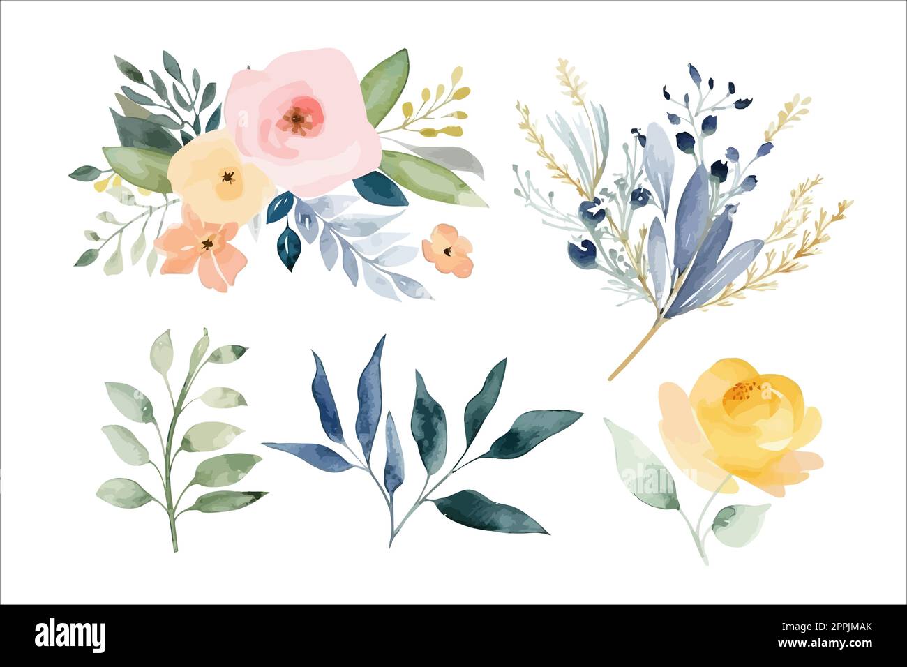 Olive bouquet Stock Vector Images - Alamy