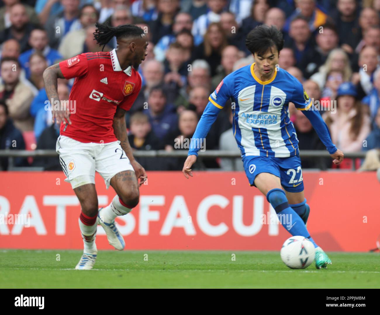 Kaoru mitoma brighton hi-res stock photography and images - Alamy