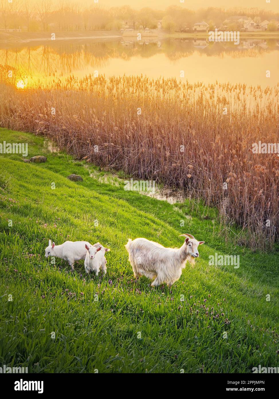 Ecology for kids hi-res stock photography and images - Alamy