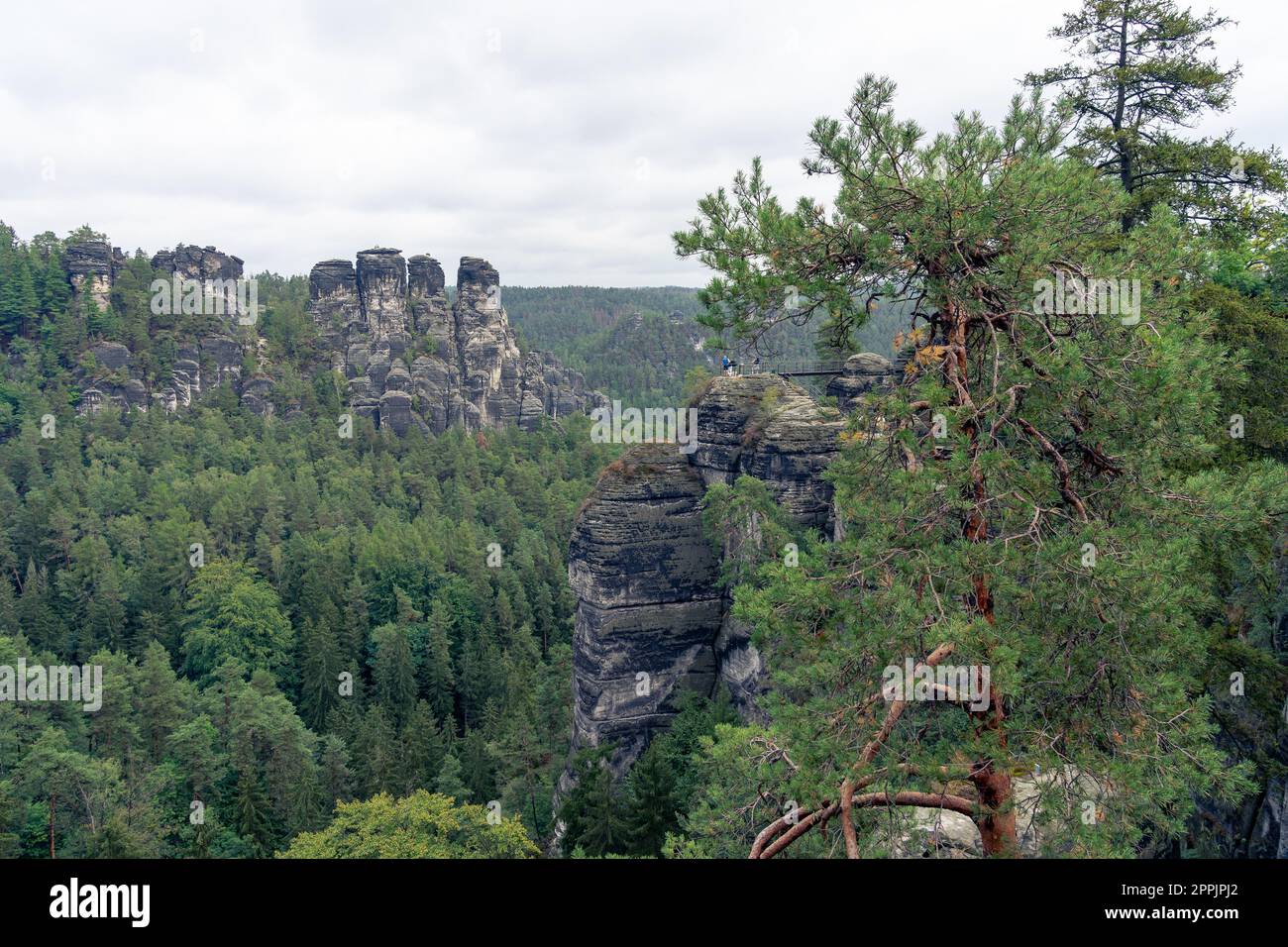 Saxon Switzerland (Elbe Sandstone Mountains). Germany Stock Photo - Alamy