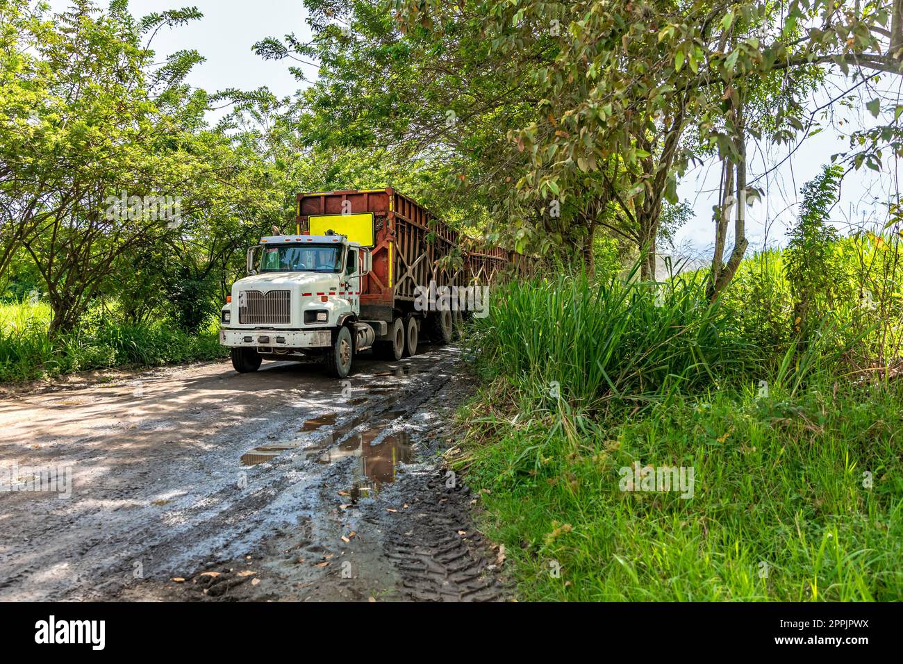 long truck from several trailers Stock Photo - Alamy