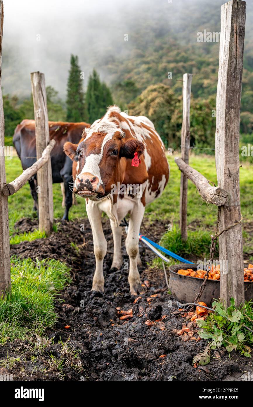 Family farm machine hi-res stock photography and images - Alamy