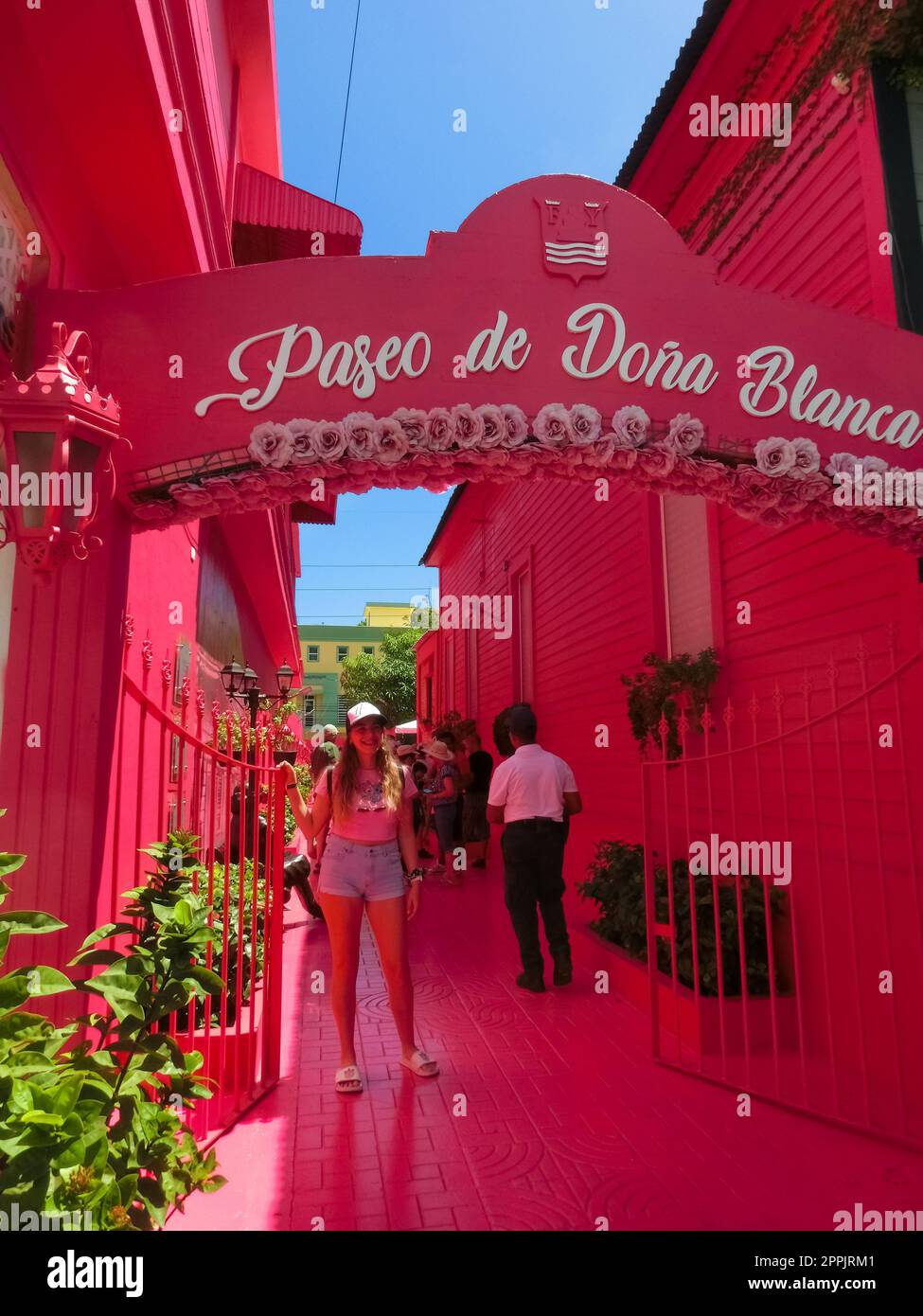 Pink street with green plants, windows, street lams, decorative ...