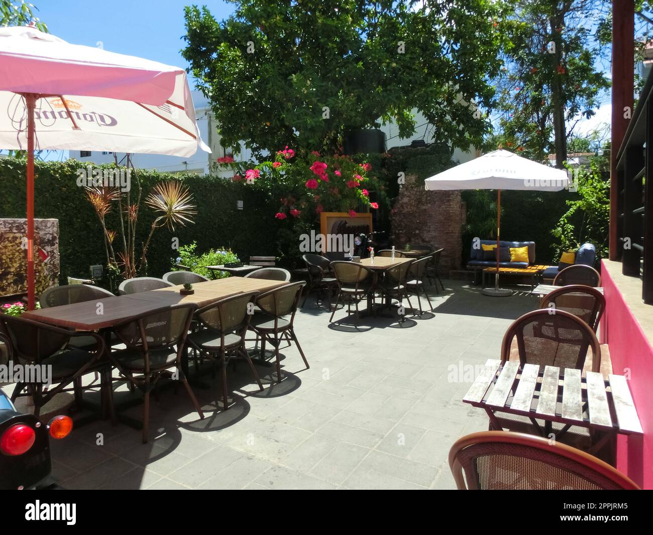Pink street with green plants, windows, street lams, decorative ...
