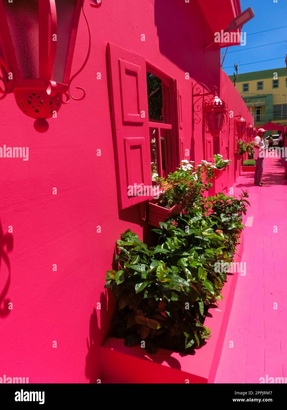 Pink street with green plants, windows, street lams, decorative ...