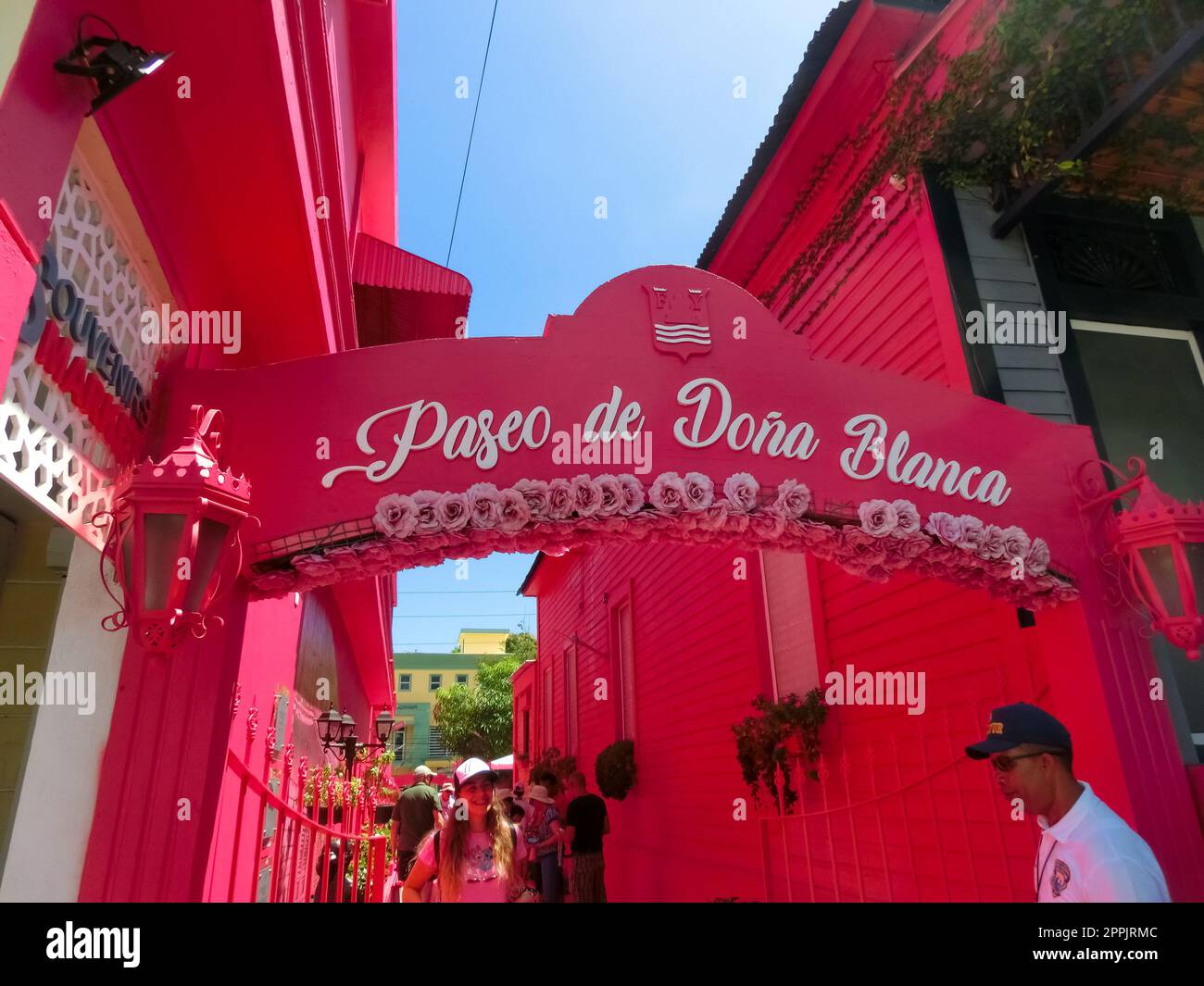 Pink street with green plants, windows, street lams, decorative ...