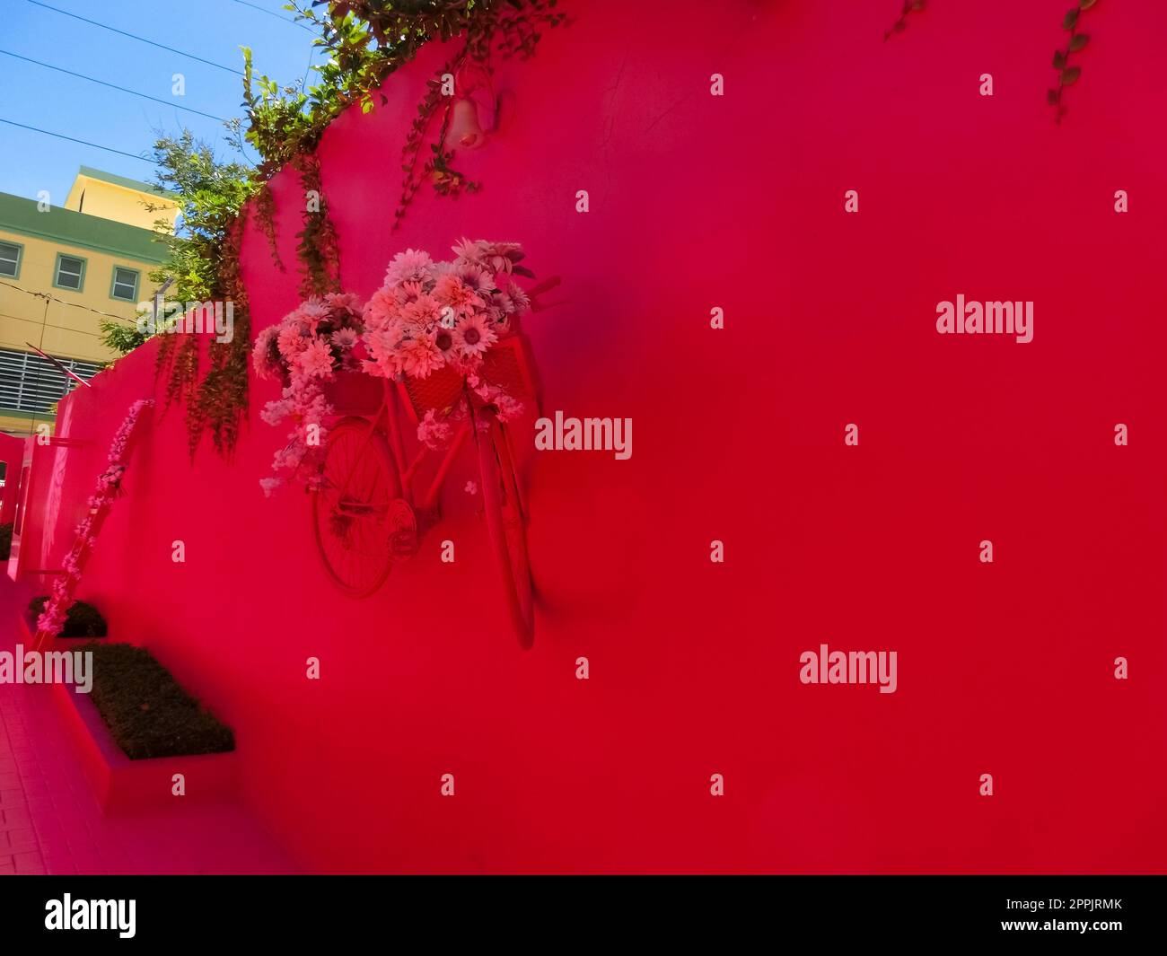 Pink street with green plants, windows, street lams, decorative ...