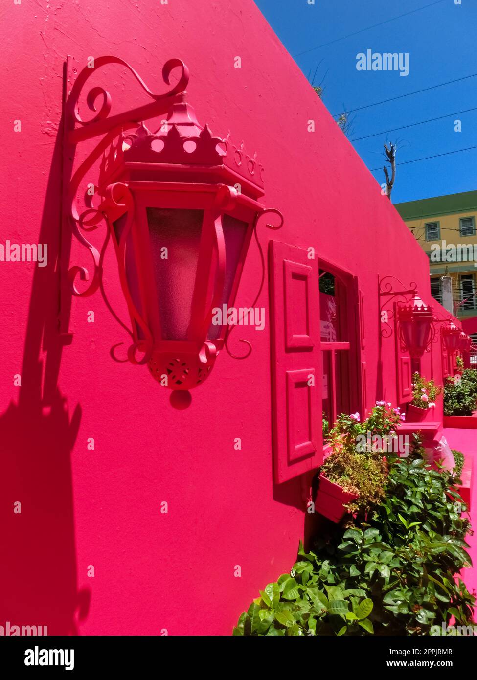 Pink street with green plants, windows, street lams, decorative ...