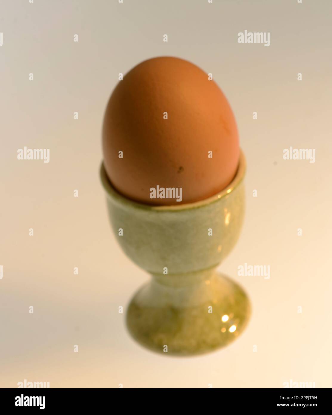 Food is any substance consumed by an organism for nutritional support ...