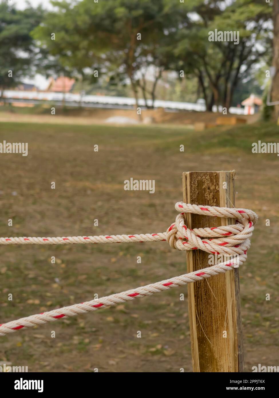 Wooden fence covered with ropes on green garden Stock Photo - Alamy